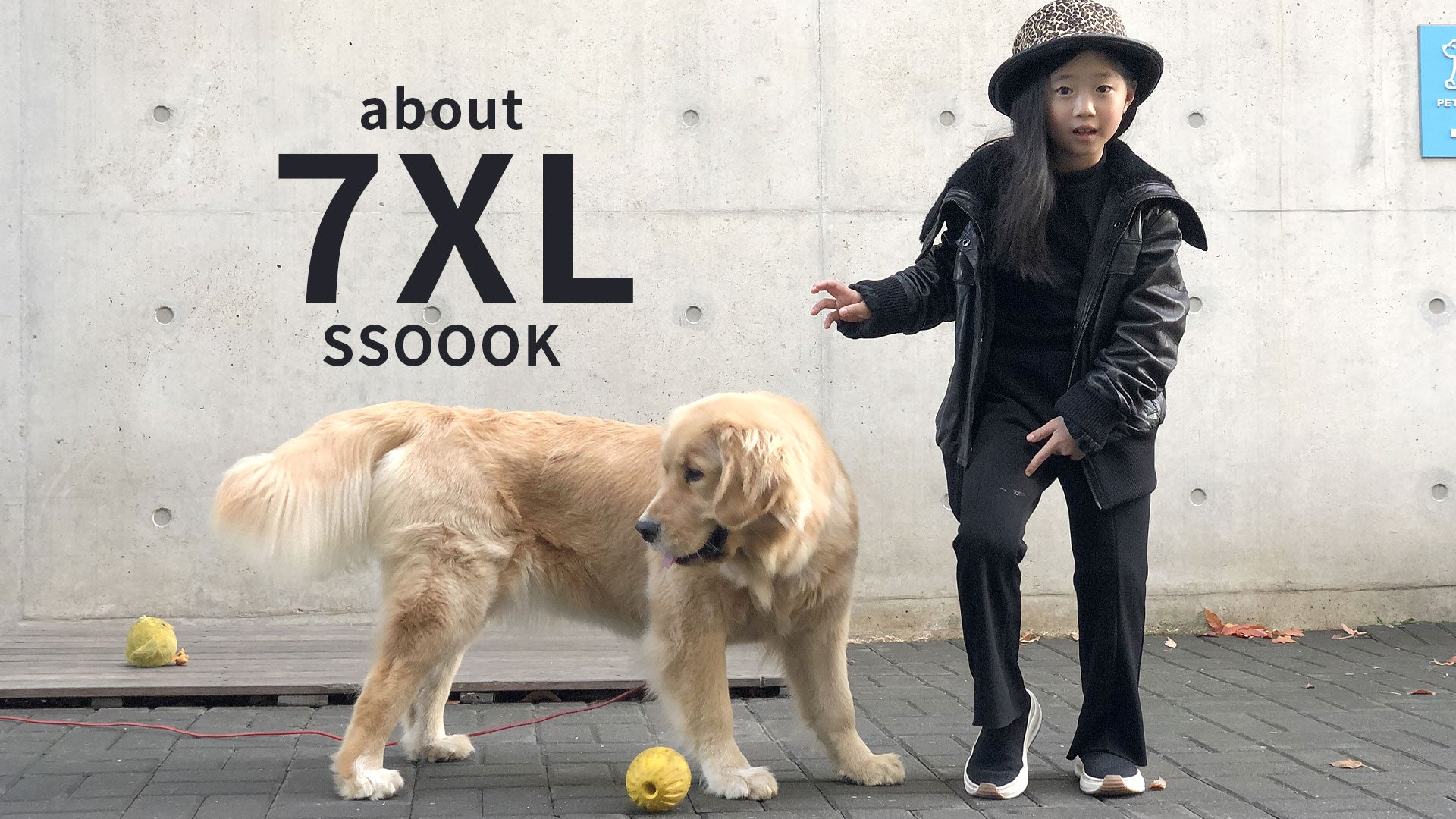 7XL Size – SSOOOK