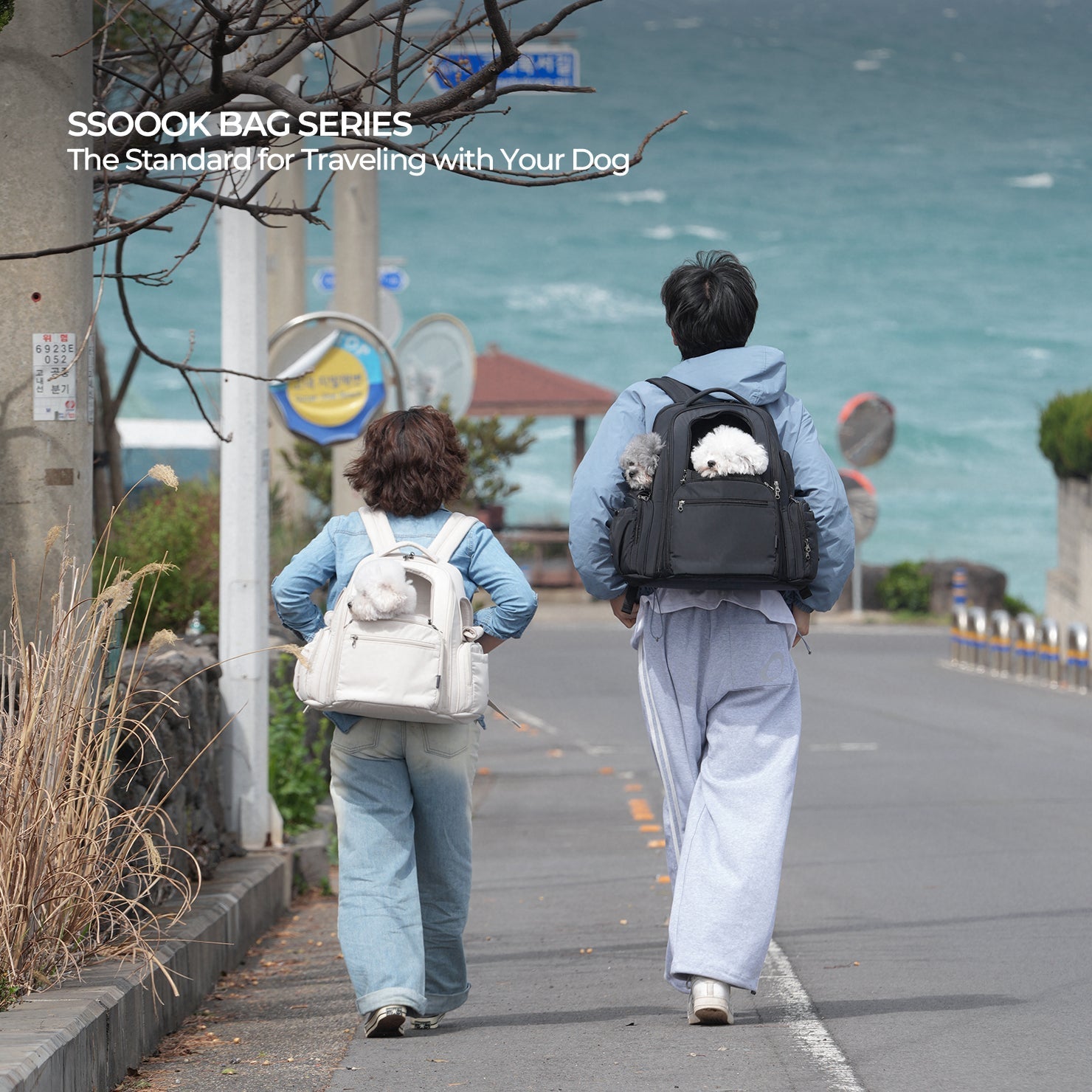 From cafés to travel, every moment of moving together with your dog ...