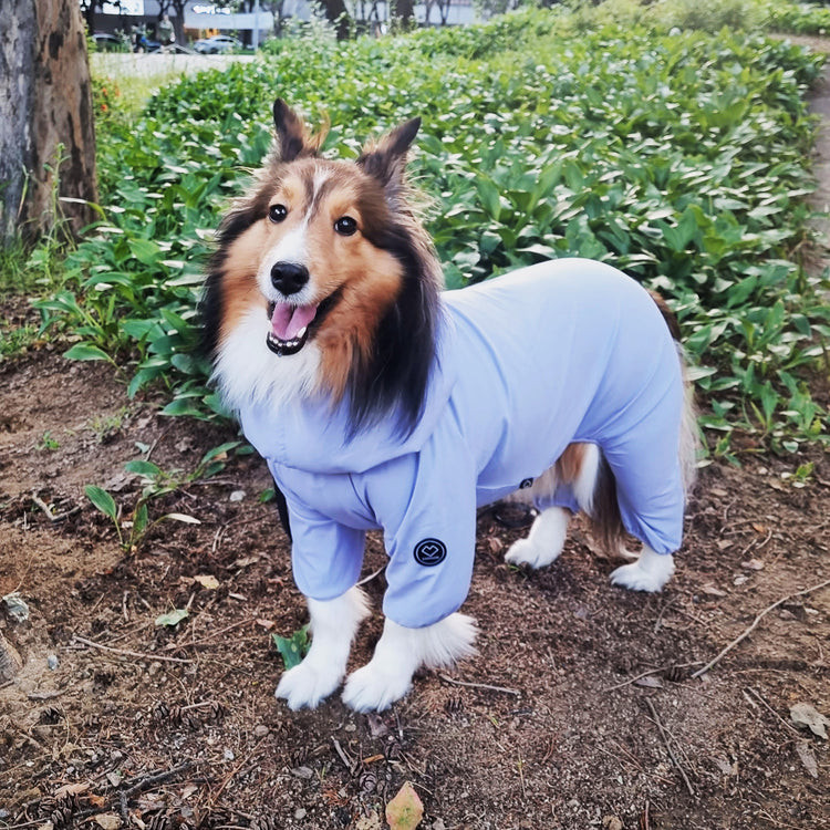 DANBI - 3XL – SSOOOK