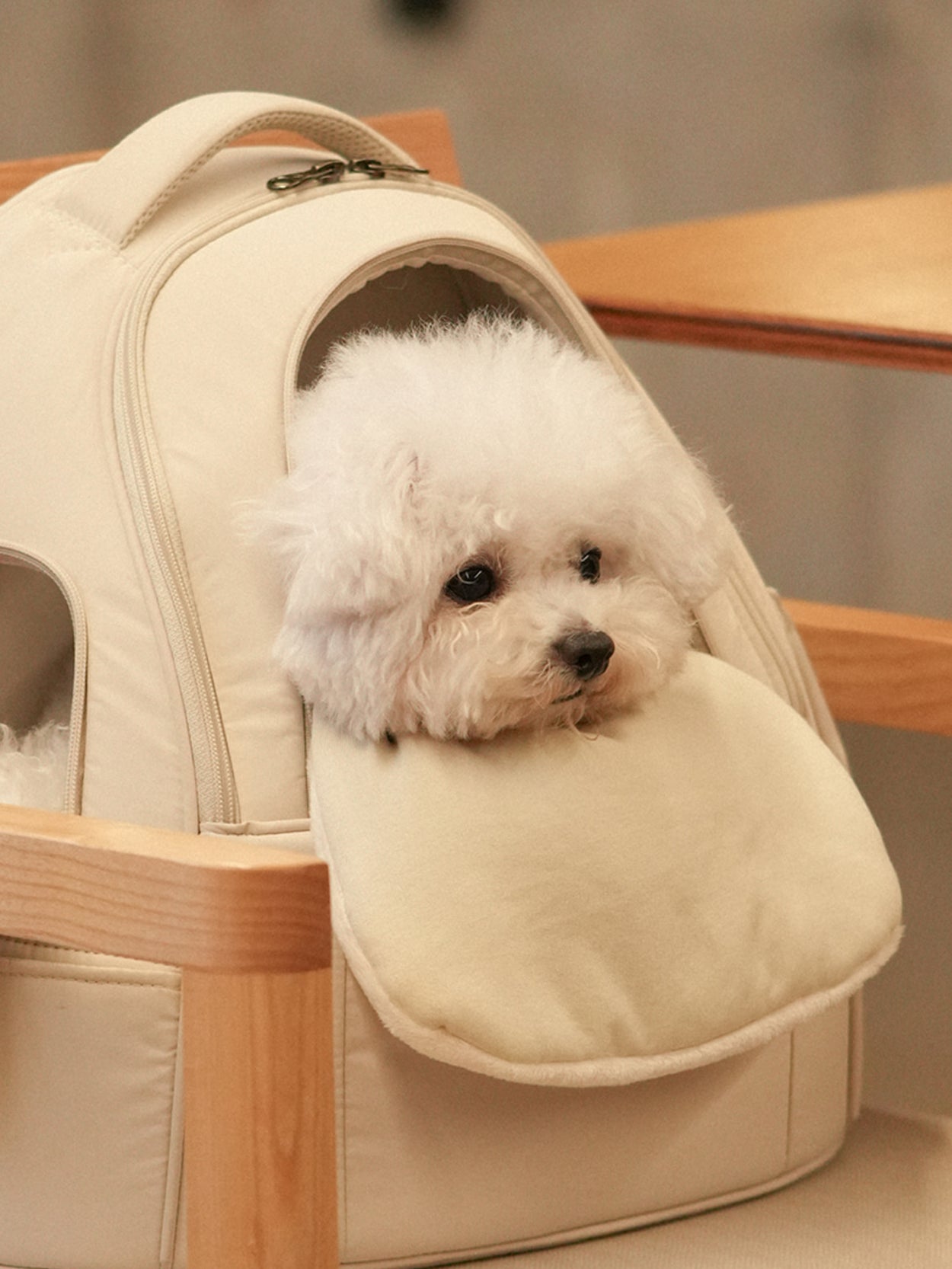 FRONT BAG – SSOOOK